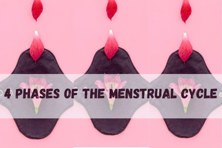 The 4 Phases of Menstrual Cycle Explained - Grass Life Beauty